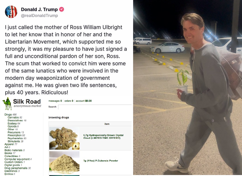 President Trump Pardons Silk Road Founder Ross Ulbricht